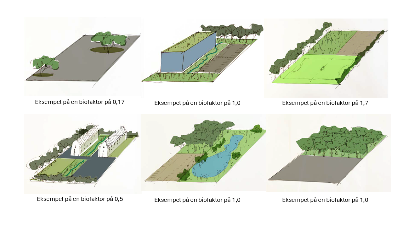 Grøn og blå kvalitet og biofaktor